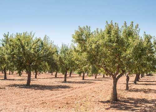 Agroptima | Isagri