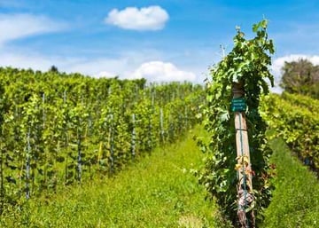 Agroptima | Isagri